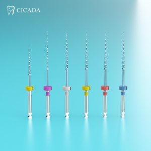 Dental One Files – Cicadadental